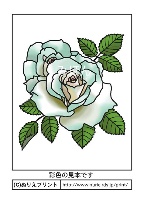 バラ3 彩色見本 花の塗り絵 無料イラストぬりえプリント