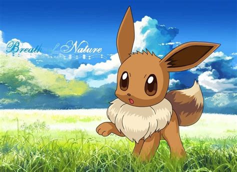 Cute Eevee Wallpaper