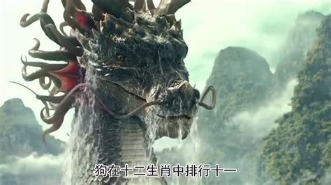 戌狗 十二地支与十二生肖的形象化代表 搜狗百科