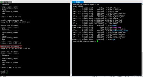 【mysql】库的操作表的操作mysql创建数据库 Csdn博客