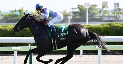 厩舎考察 長谷川浩大厩舎 高松宮記念2024編｜nalnal
