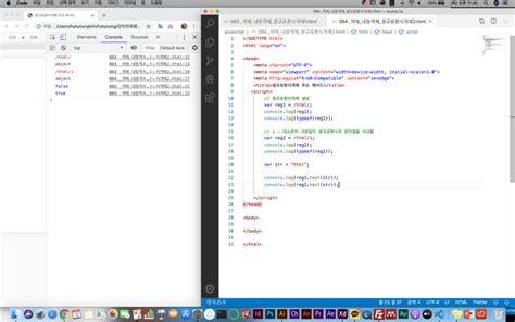 자바스크립트 기초 오늘의 마늘미션 객체 내장객체 정규표현식 객체 library