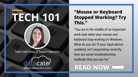Fix Mouse And Keyboard Issues On Windows Fast