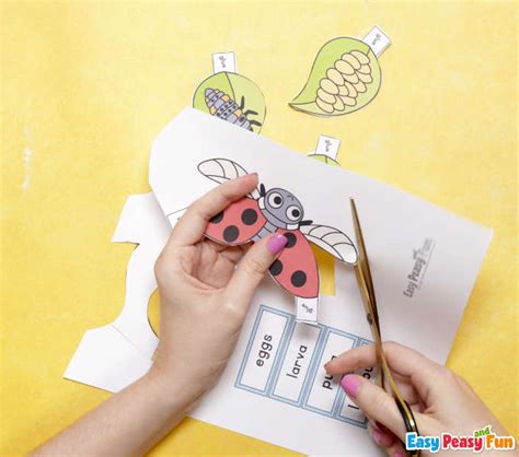 3d Ladybug Life Cycle Craft Easy Peasy And Fun
