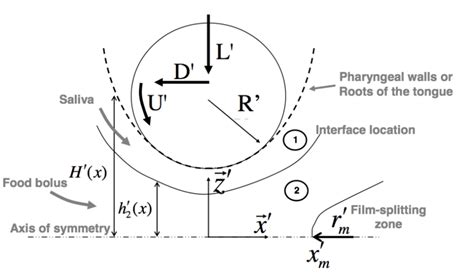 10 Schematic Diagram Of Definitions And Notations Download Scientific Diagram