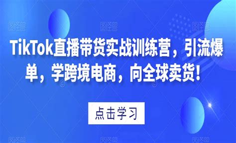 《tiktok引流爆单带货实战》 副业项目库