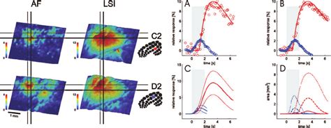 Comparison Of The Spatio Temporal Characteristics Of Sensory Evoked Download Scientific Diagram