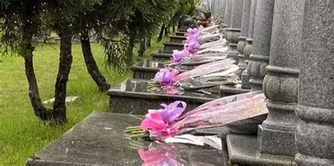 折柳·拜山·踏青——澳门清明节剪影凤凰网广东凤凰网