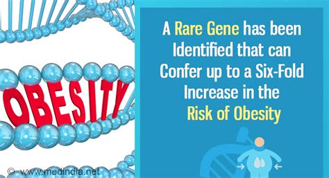 Heavy On Genes The Weighty Role Of Bsn And Apba1 In Obesity