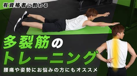 多裂筋のトレーニング3種目2セット｜腰痛や姿勢にお悩みの方にもオススメ【6分間】 Youtube