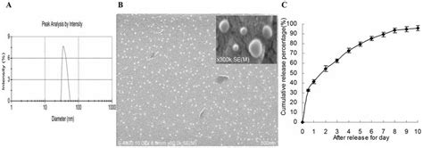 Particle Size And Scanning Electron Microscope Sem Image Of Gc 5 Fu Download Scientific