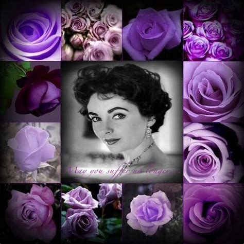 Elizabeth Taylor Fan Club Fansite With Photos Videos And More