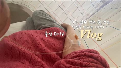 Vlog 37주 38주ㅣ먹고 또 먹는 출산 14일 전 임산부 브이로그ㅣ서촌 맛집ㅣ종로 맛집ㅣ한남 맛집ㅣ을지로 맛집ㅣ커피