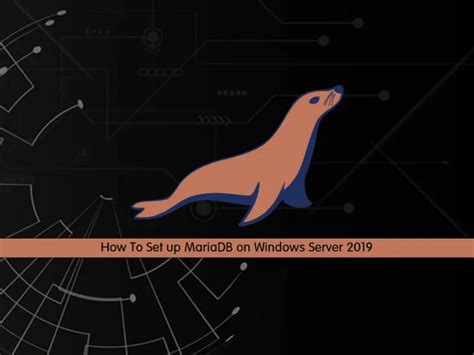 Best Steps To Manage SSDP Network Discovery On Windows 11