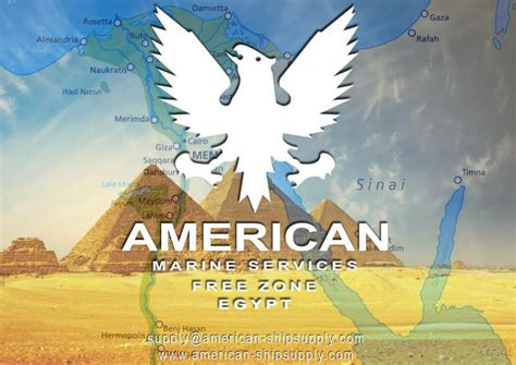 El Sayed Mohamed Zaki Posted On Linkedin