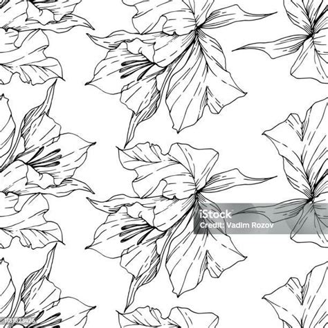 벡터 열대 꽃과 잎이 고립되어 있습니다 흑백 잉크 아트가 새겨져 있습니다 원활한 배경 패턴 0명에 대한 스톡 벡터 아트 및 기타 이미지 Istock