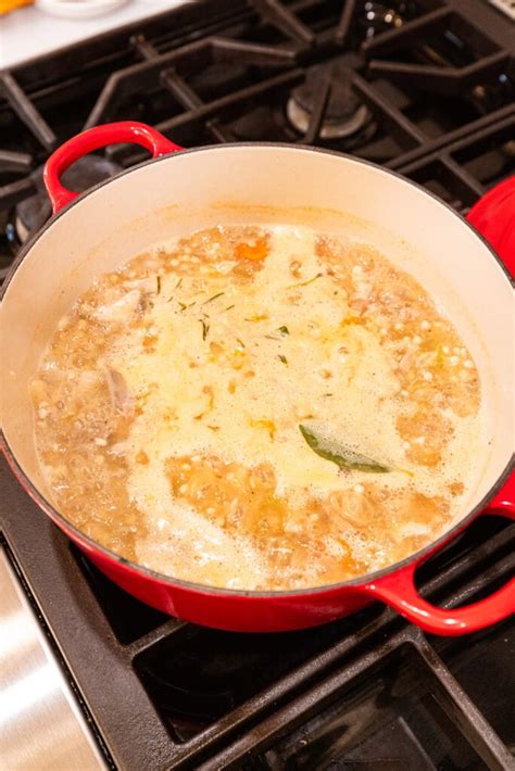 Leftover Turkey Soup Wyse Guide