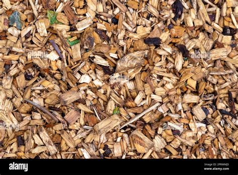 Wet Dark Softwood Chips With Foliage Evenly Spread Stock Photo Alamy