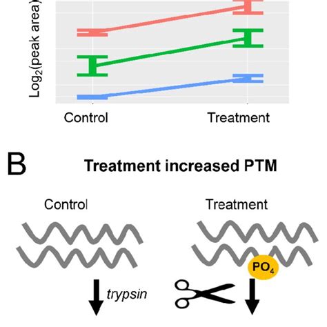 Protein Quantification Based On Multiple Measures Of Peptide Parts In Download Scientific