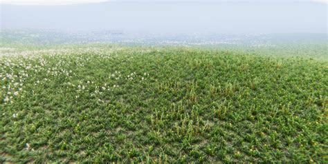 Realistic Grass Flowers Pack 2d Nature Unity Assets Codeintra