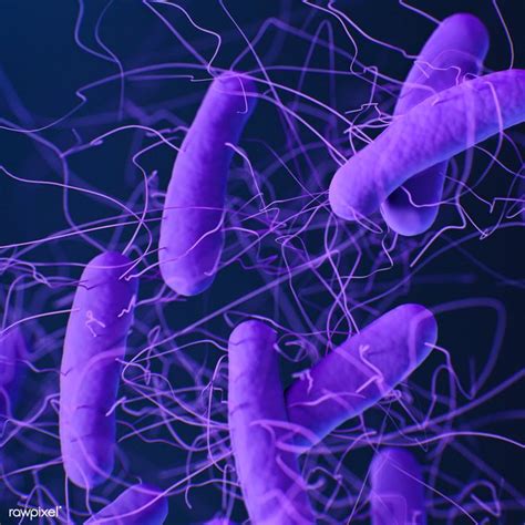 Pin On Virus Bacterias