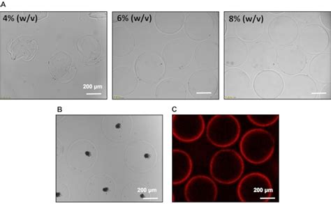 Microfluidic Fabrication Of Core Shell Microcapsules Carrying Human Pluripotent Stem Cell Spheroids