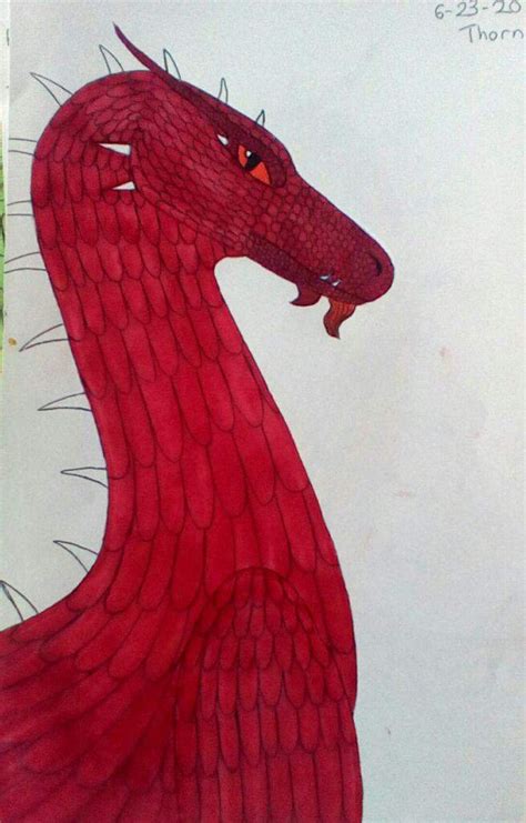 Thorn Wiki Inheritance Cycle Series Amino