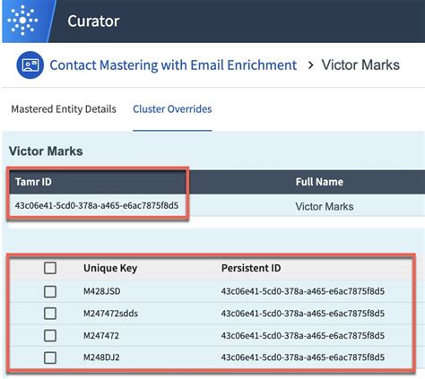 Maintaining Tamr Ids