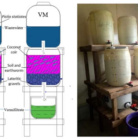 Vermifiltration Experimental Setups Download Scientific Diagram