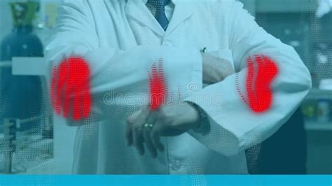 Animation Of Shapes Over Caucasian Male Scientist Working In Lab Stock Video Video Of