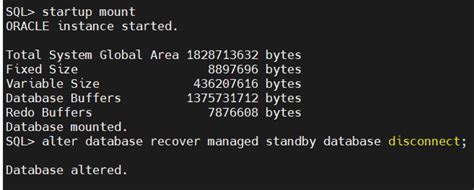 Hướng Dẫn Cài đặt Oracle Data Guard Physical Standby Ver 19c Với Rman