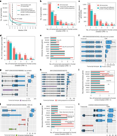 Mapping Medically Relevant Rna Isoform Diversity In The Aged Human
