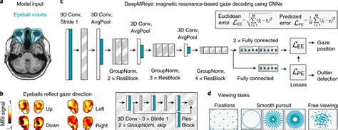 Model Architecture And Input A Manually Delineated Eye Masks