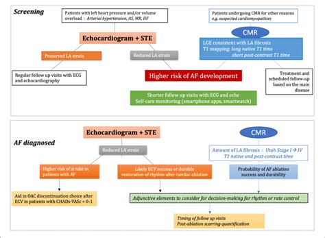 Proposed Algorithms Integrating Speckle Tracking Echocardiography