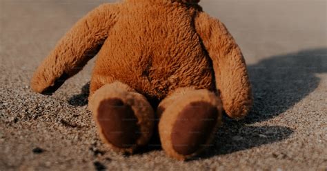 해변에 박제 곰 사진 Unsplash의 테 디 이미지