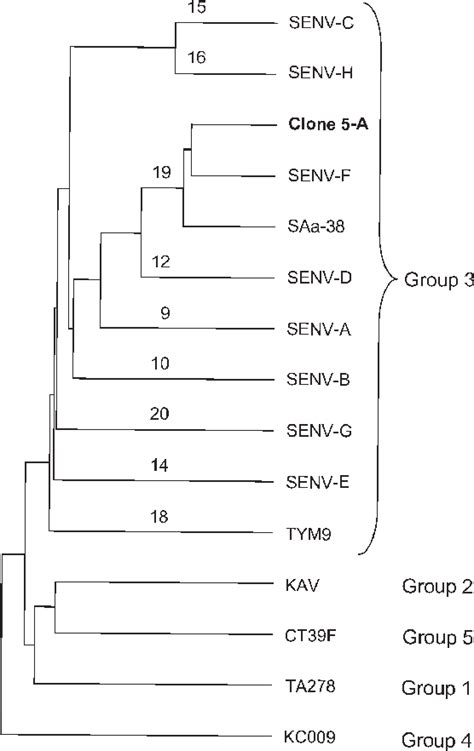 Phylogenetic Tree Inferred By Using The Upgma Method From Isolate 5 A Download Scientific
