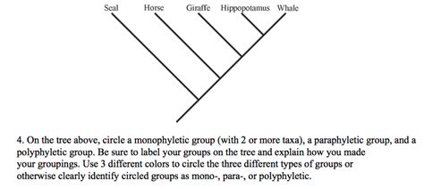 Solved On The Tree Above Circle A Monophyletic Group