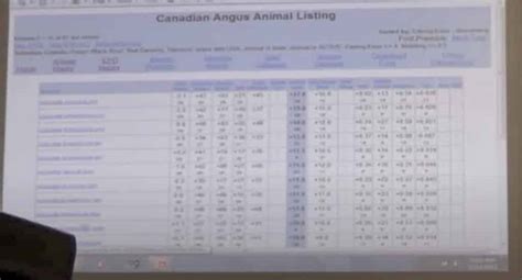 Epd Training Video Canadian Angus Association