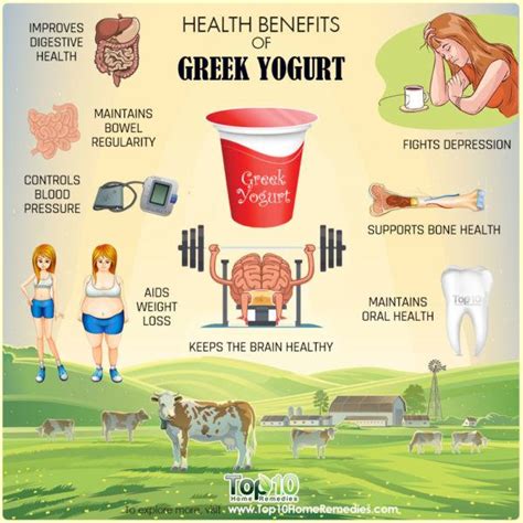 Chobani Greek Yogurt Health Benefits At Patricia Mahmood Blog