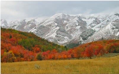 Life Is Beautiful You Come Too Songs I Love My Blessed Canyon Home