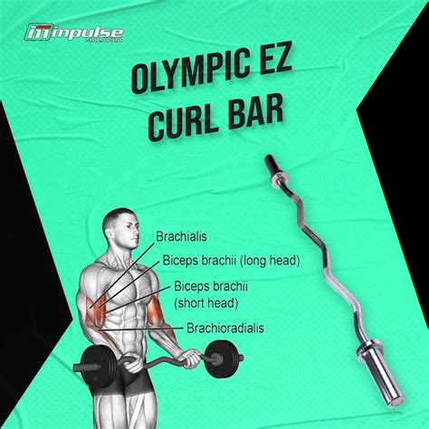 Fitness Equipment Olympic Ez Curl Bar Sports Equipment Other Sports