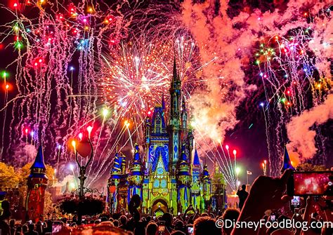 7 Embarrassing Things We Still Always Do In Disney World Please Dont