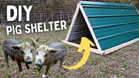 Hog House