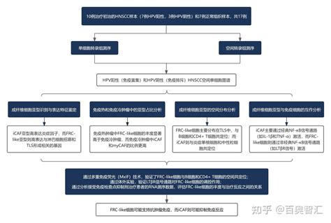 科研最前沿 空间多组学揭示成纤维细胞亚型与特定的免疫微环境及免疫治疗反应相关 知乎