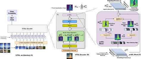 Figure 2 From Vitol Vision Transformer For Weakly Supervised Object Localization Semantic Scholar