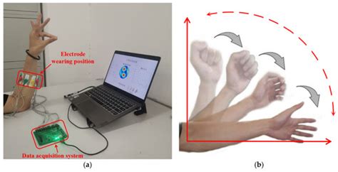 Sensors Free Full Text Dynamic Hand Gesture Recognition Using Electrical Impedance Tomography