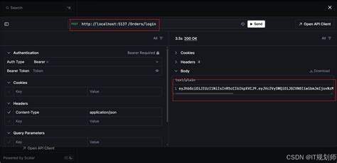 Net9 Swagger平替scalar详解（四）scalar Swagger Csdn博客