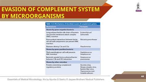 Complement Pathways Microbiology Pptx