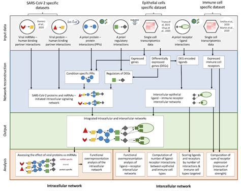 GitHub Korcsmarosgroup Gut COVID Github Repository For The Gut Covid Project