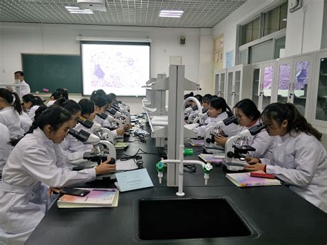 护理系《人体形态学》、《生理学》实验课圆满结课 北京科技大学天津学院